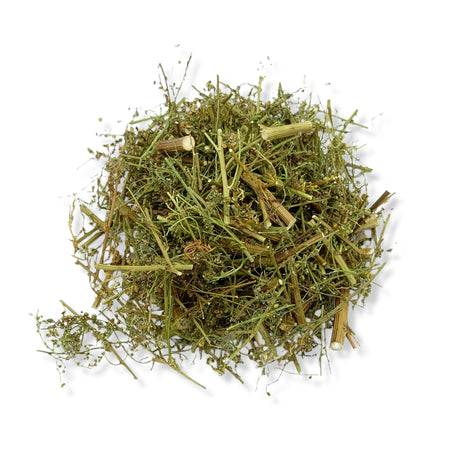 Spring Wind Herbs - Exceptional Quality and Unmatched Purity – Spring ...
